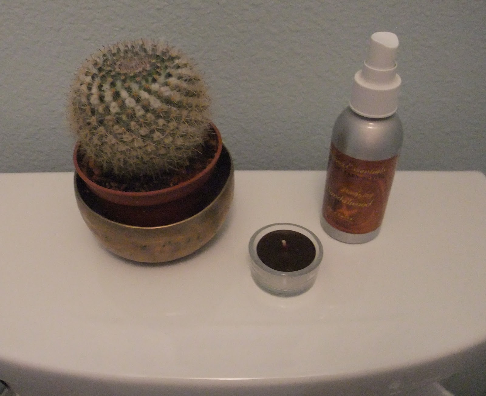 Things I get to do today: Cactus Dust