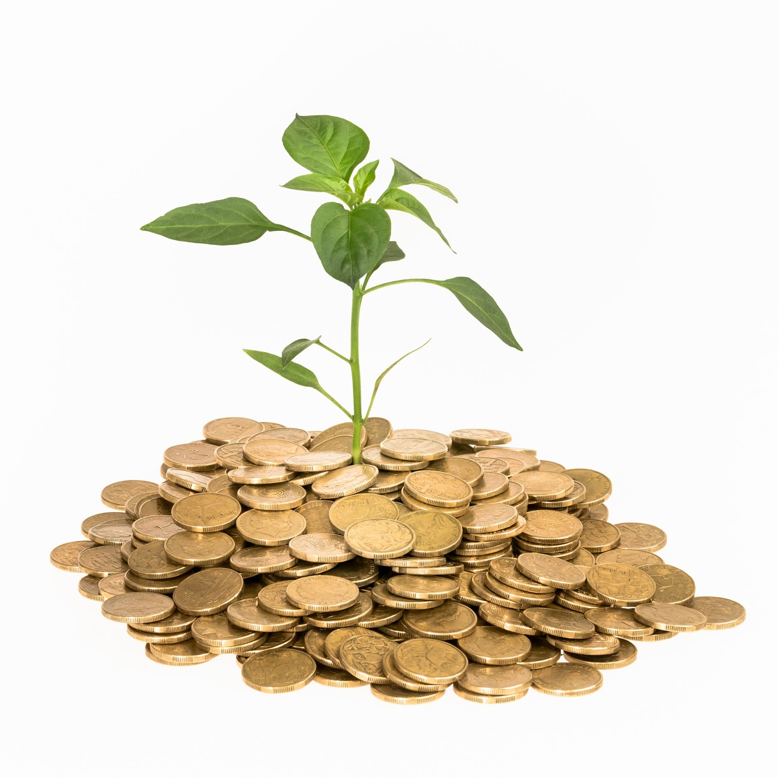 Knowledge And Wisdom 8 Wealth Creation Principles knowledge-and-wisdom-8-wealth-creation-principles