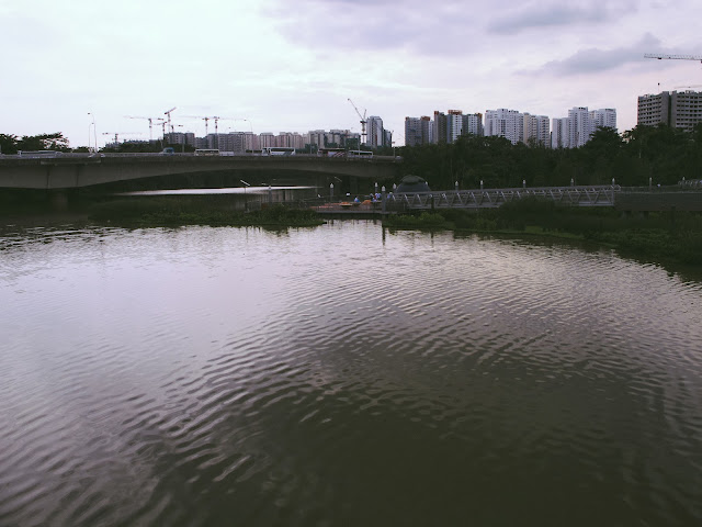 Sengkang Riverside Park | A Photographic Diary