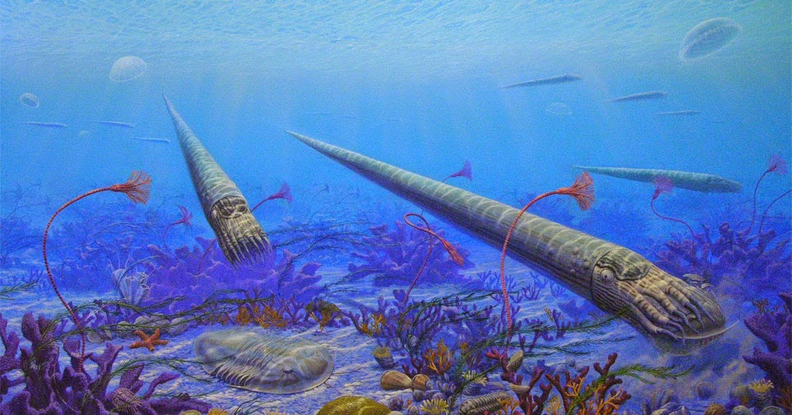 Extinciones masivas.: SEGUNDA EXTINCIÓN MASIVA: Ordovícico-Silúrico