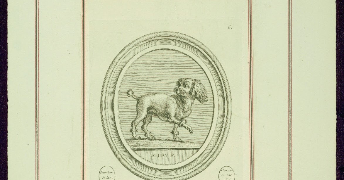 The Pet Museum: the lives times art and history of our pets: madame de ...