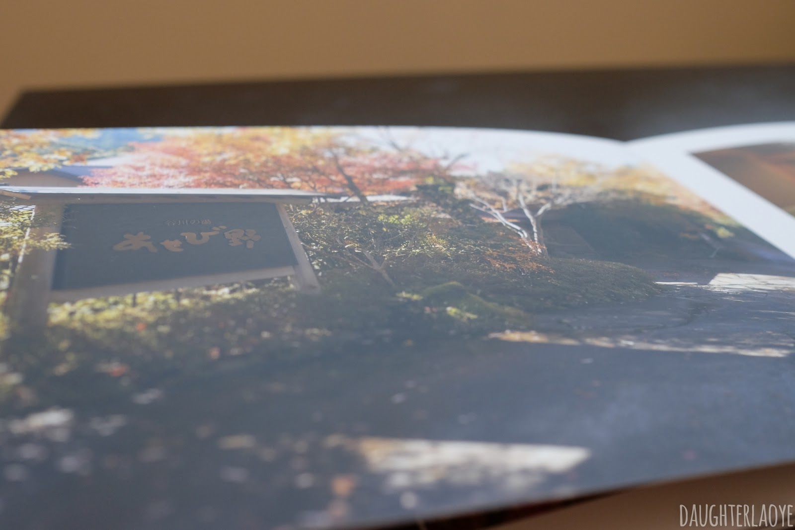 Daughter Lao Ye: Photobook Review: AdoramaPix Fuji Deep Matte Paper