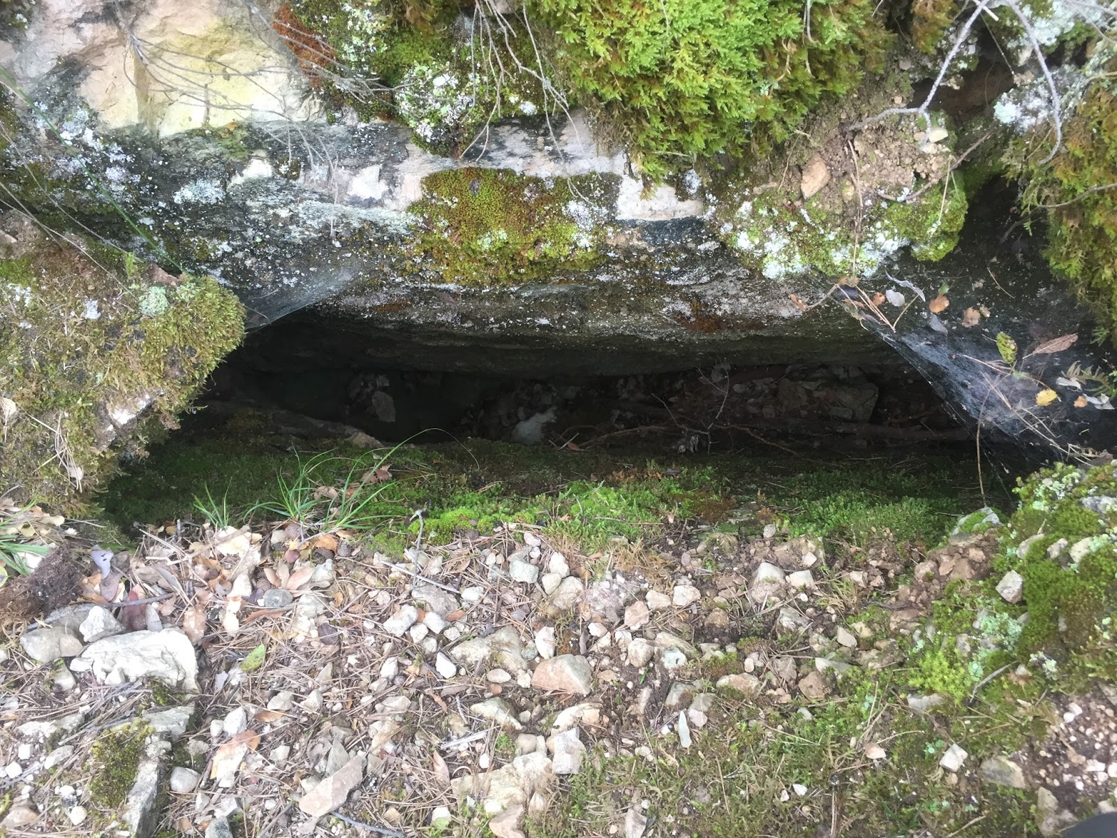 ROCAM ROGENC: EL XARAGALL DEL FOIO