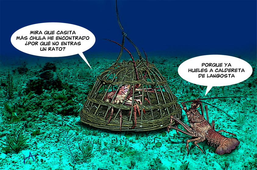 Opiniones de Nasa (pesca)