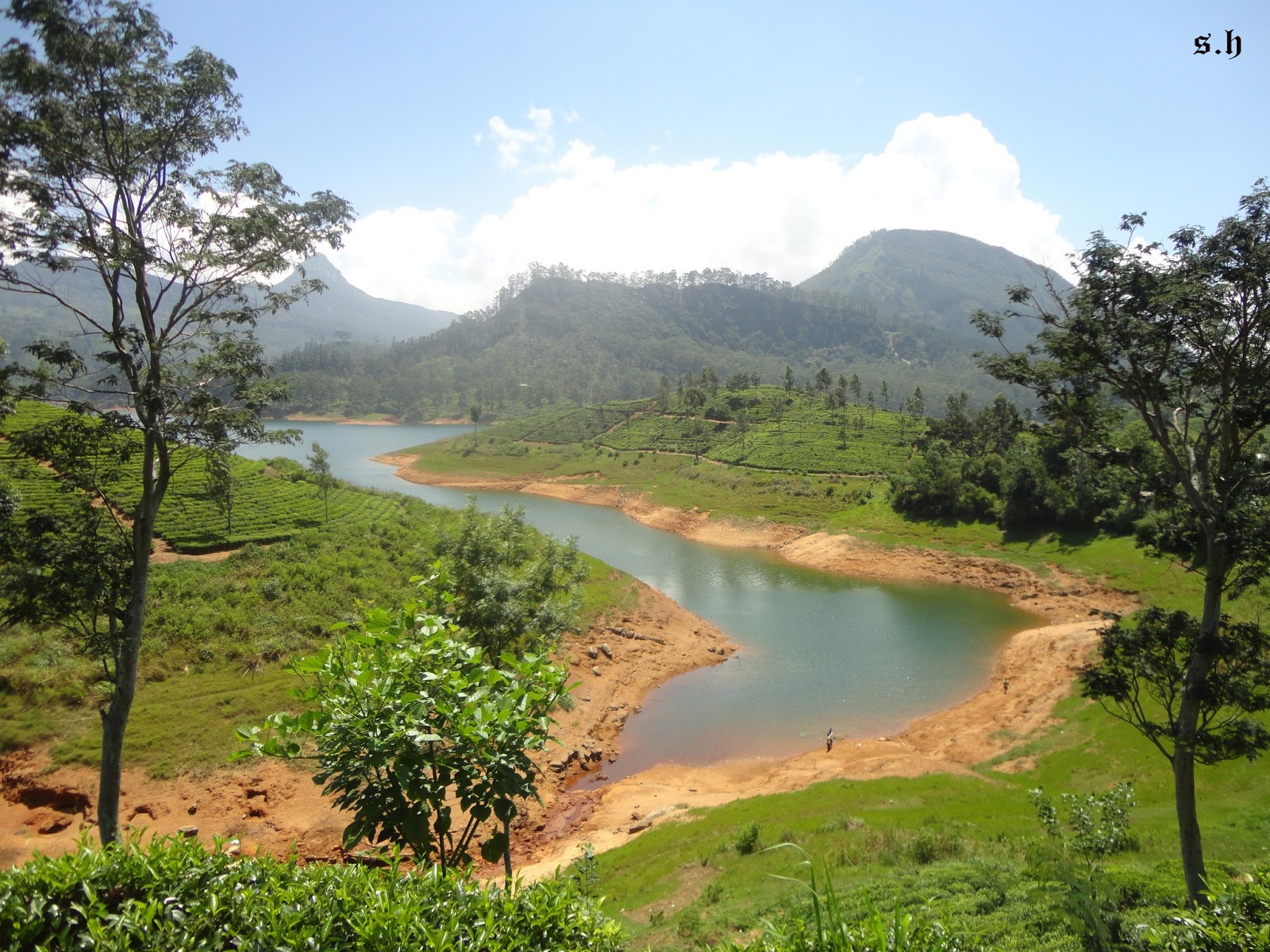 picture box: nacharal