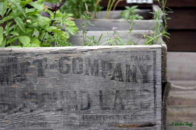 A Wicked Scoff...Newfoundland Food and Recipes with New England ...