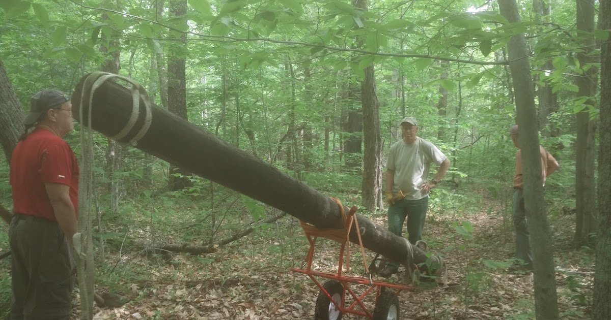 Fun in the Woods--Massachusetts AT Committee Project Blog: Repairs to ...