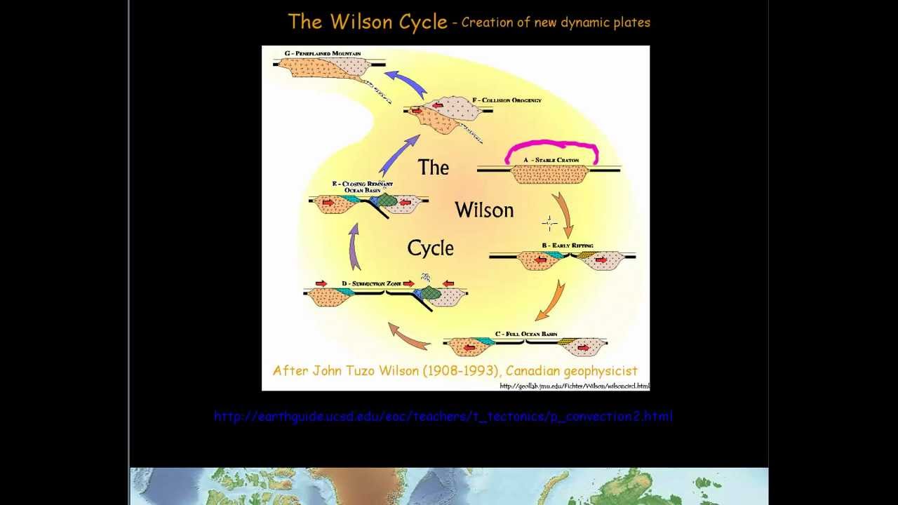 حسين قمبر - h-qamber: Wilson Cycle دورة ويلسون
