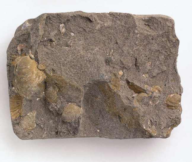 EKOGEO: JENIS-JENIS BATUAN DI PERMUKAAN BUMI