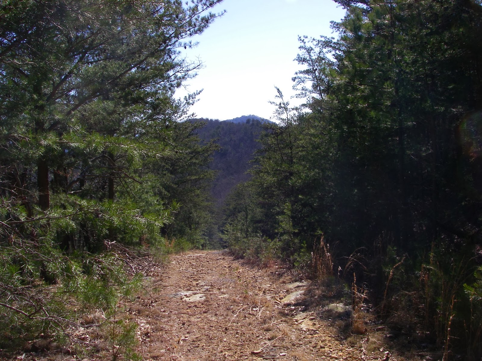 Hiking the George Disney Trail