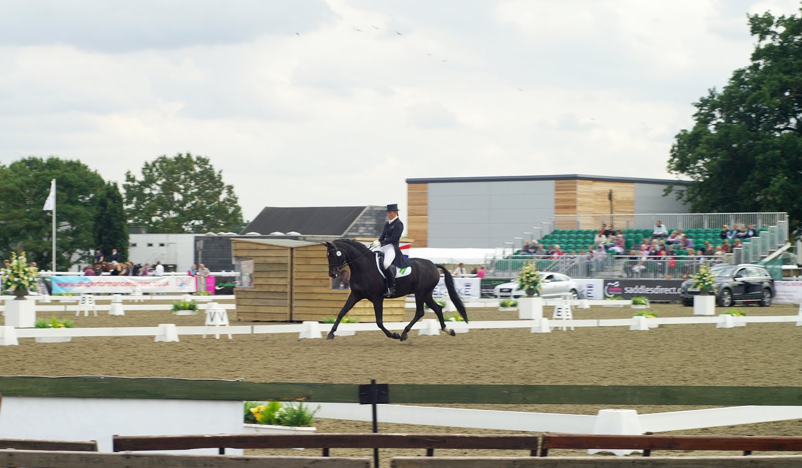 Suregrow the UK's Premier Horse and Pony Paddock Fertiliser: Six top ...