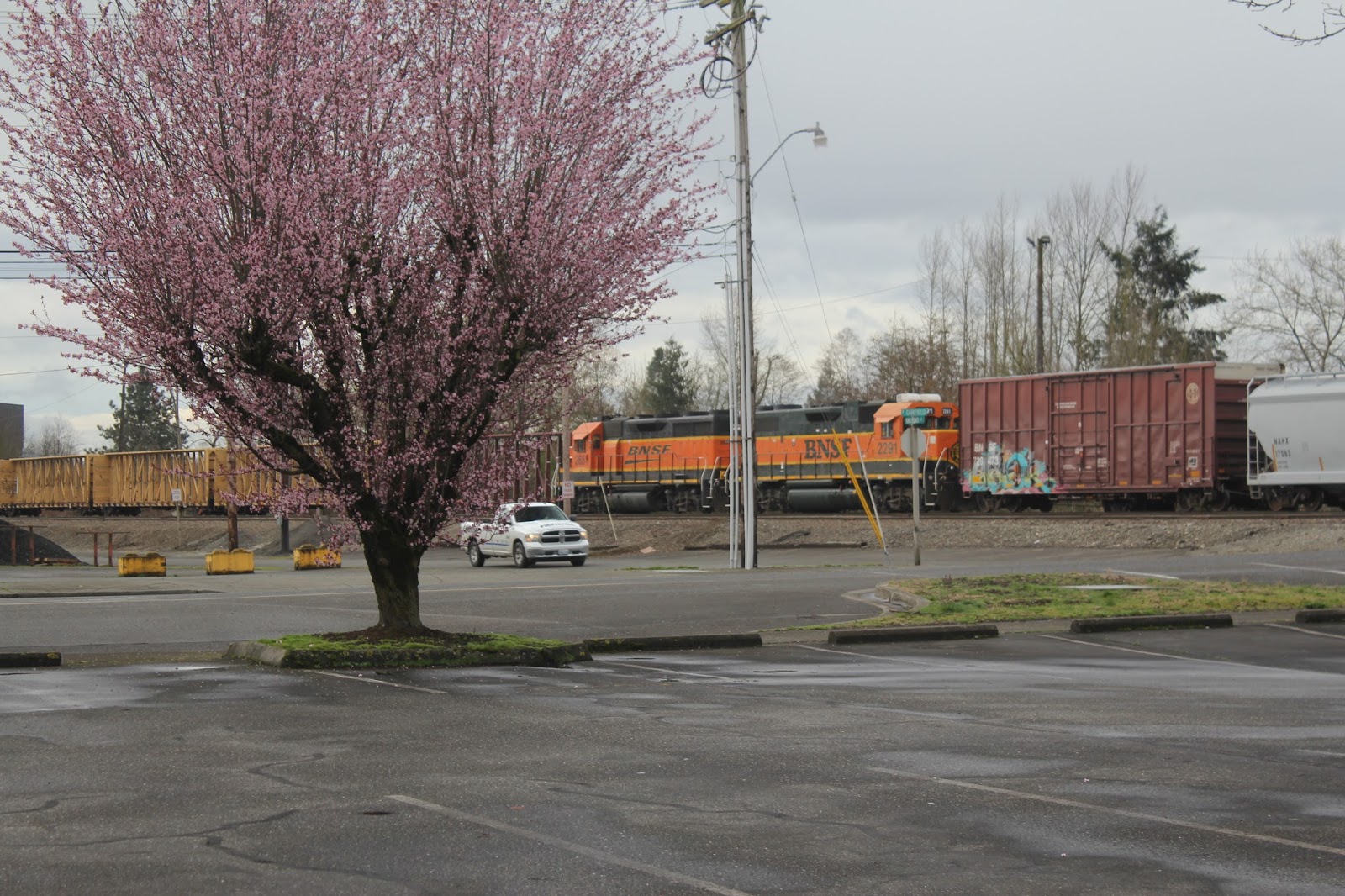 Railfan in Sumas, WA: sunny, BNSF switchers 2651/GP39-3 and 2291/GP38-2, 1pm...7 Mar, 2016