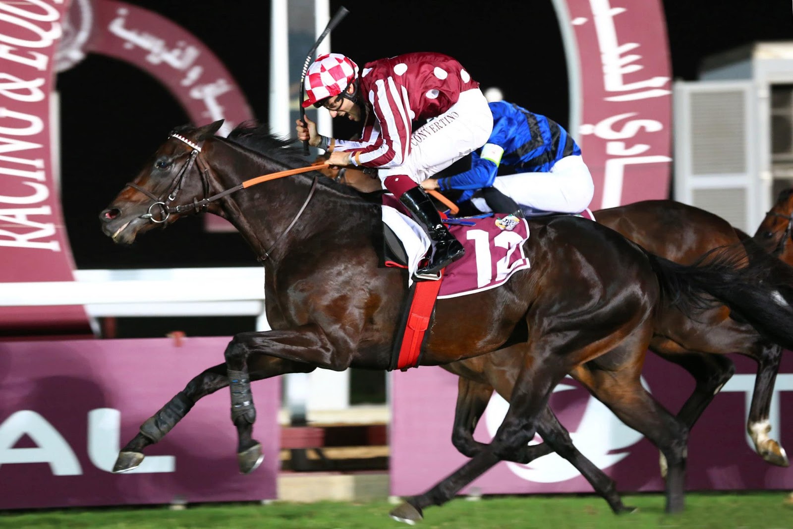 Da Mondoturf di Gabriele Candi: ex cavalli italiani e fantini ancora ...