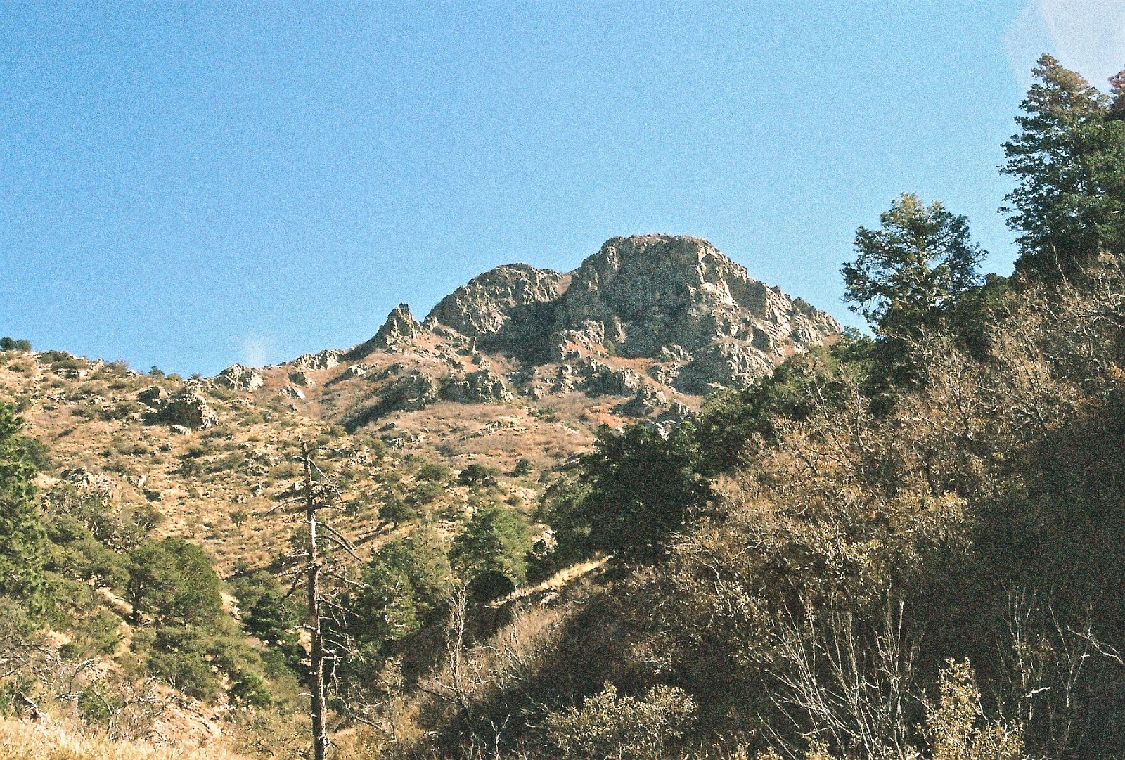 Southern New Mexico Explorer: Fillmore Canyon Trail, Organ Mountains ...