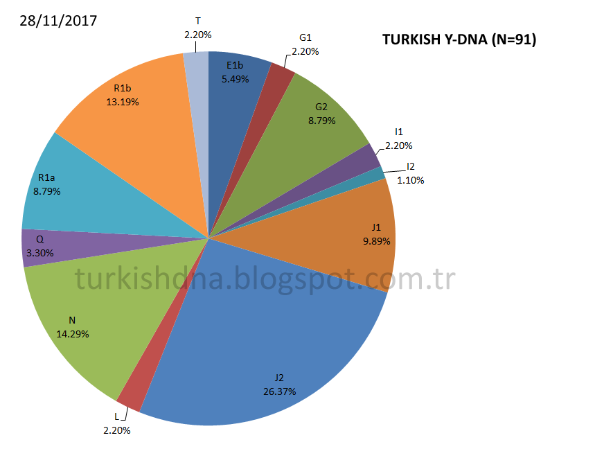 Y-DNA chart of 91 Turks (NEW)