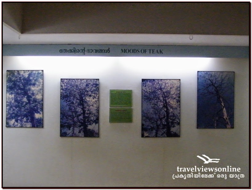 പ്രകൃതിയിലേക്ക് ഒരു യാത്ര (a travel towards NATURE): TEAK MUSEUM ...