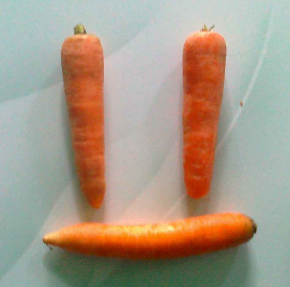 Inilah Manfaat dan Khasiat Wortel, Menakjubkan - Asalasah