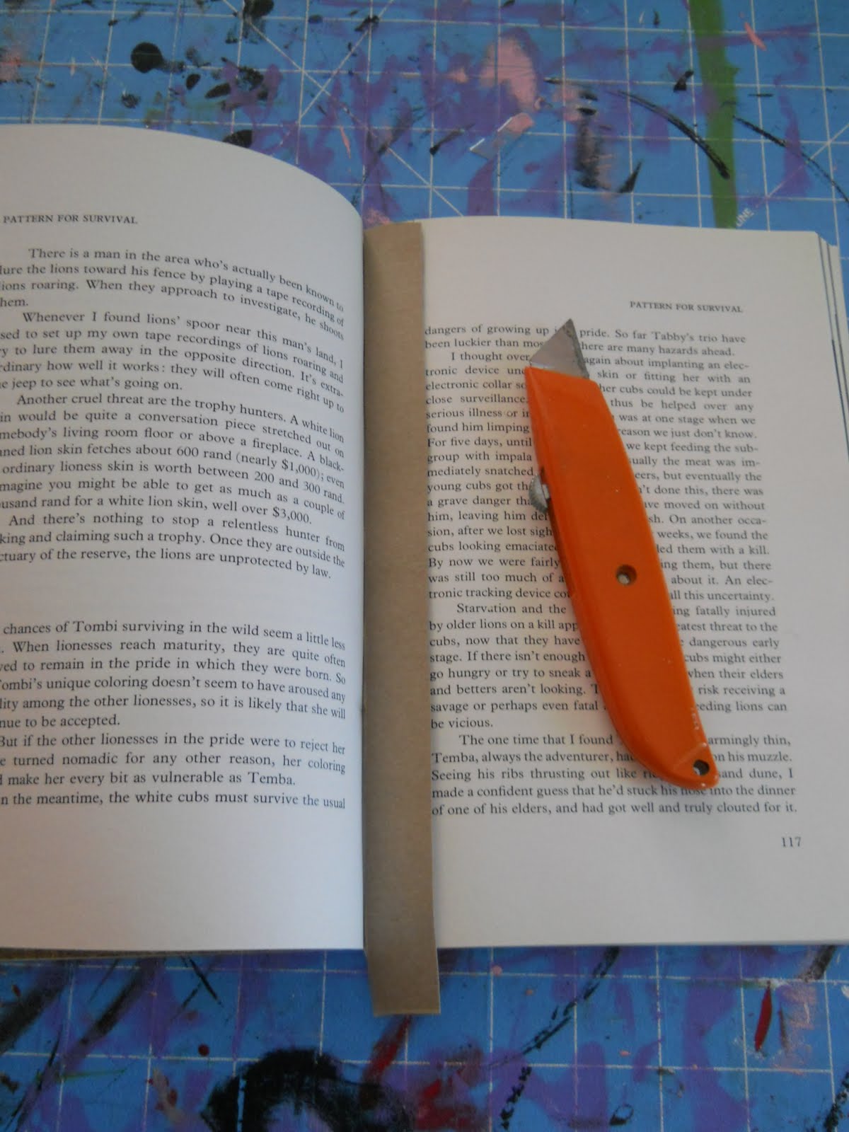 Pinkapotamus: Book Page Fireworks!