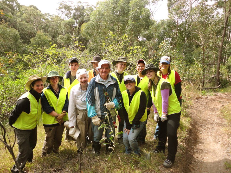 A World Outside Wolvo: Environmental Conservation Volunteer Work
