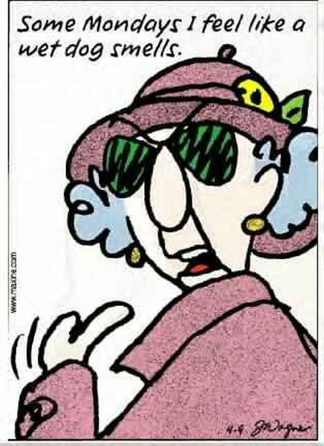 Chuck's Fun Page 2: Six assorted, vintage Maxine cartoons