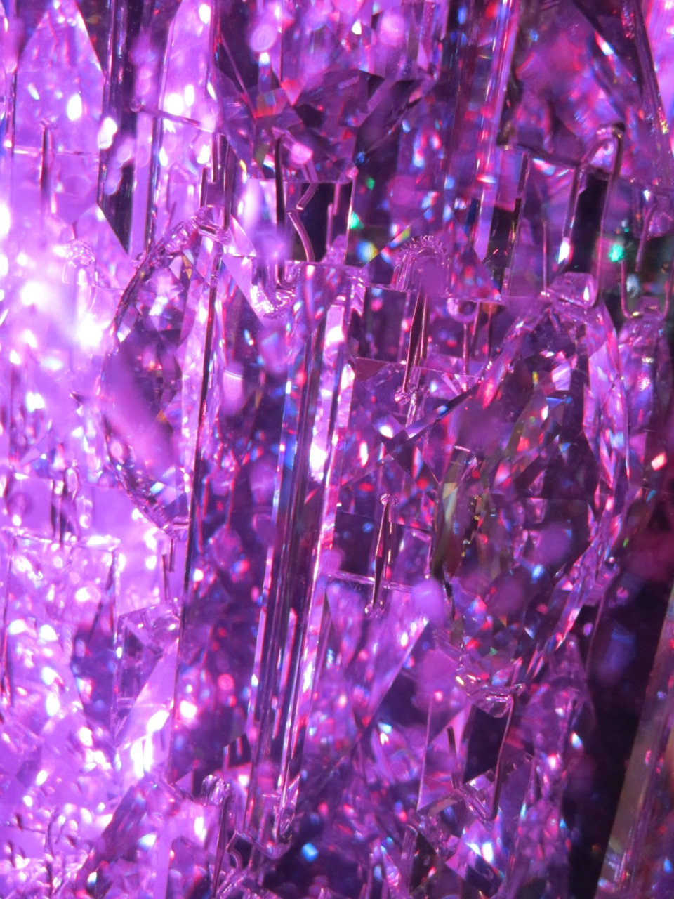 The Sr ngest Life: purple haze