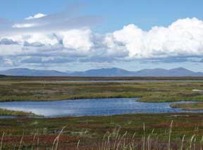 GEOG5 ALASKAN TUNDRA BIOME