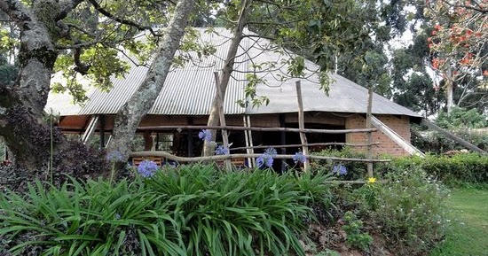 Spend a night at a Jewel situated on Bushara Island in Lake Bunyonyi ...