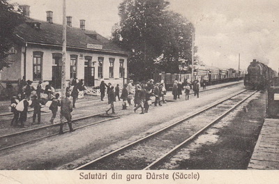 Epaminonda's Blog.....: ERVENICE - CEHIA