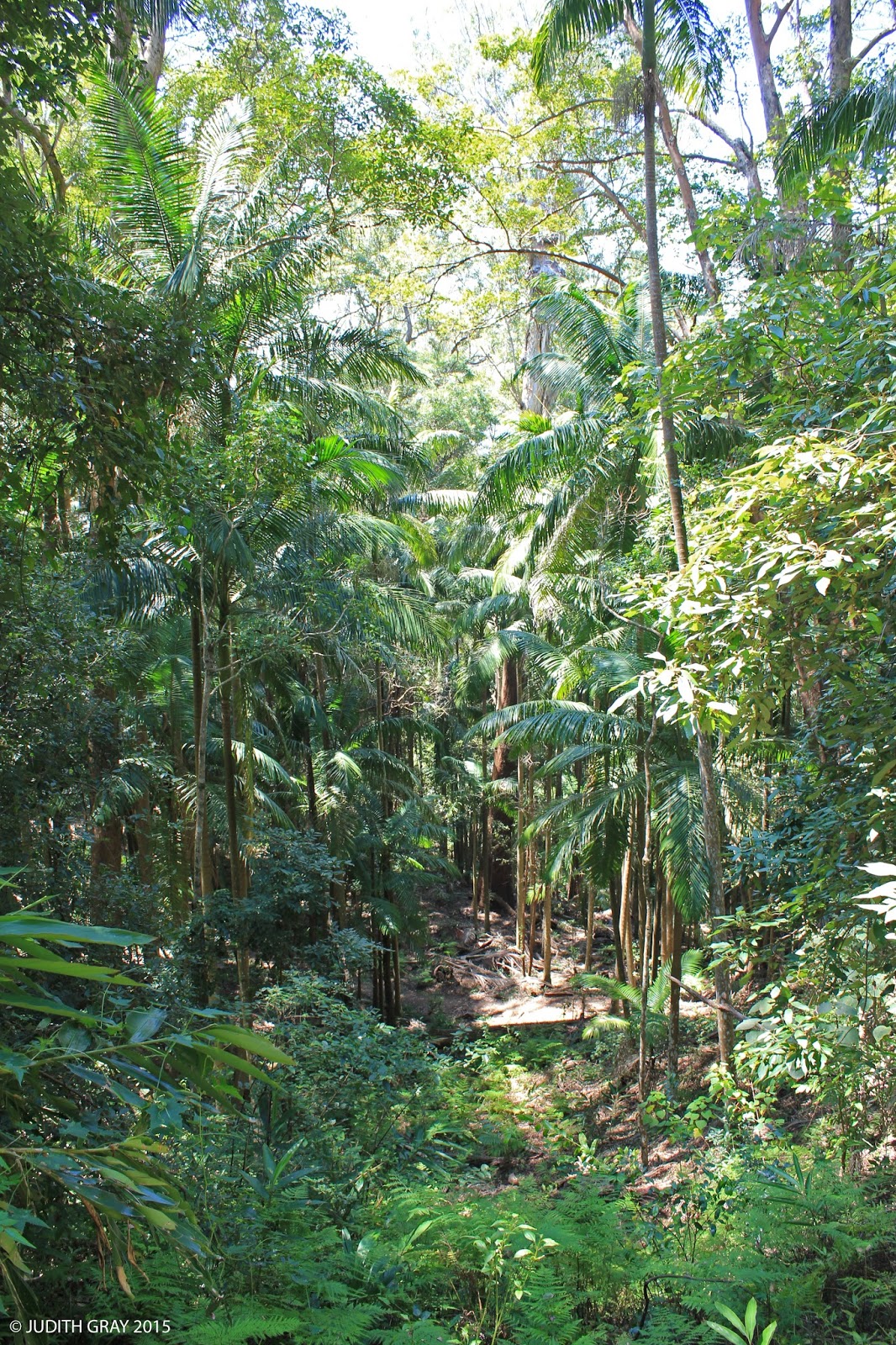 Ravensbourne National Park