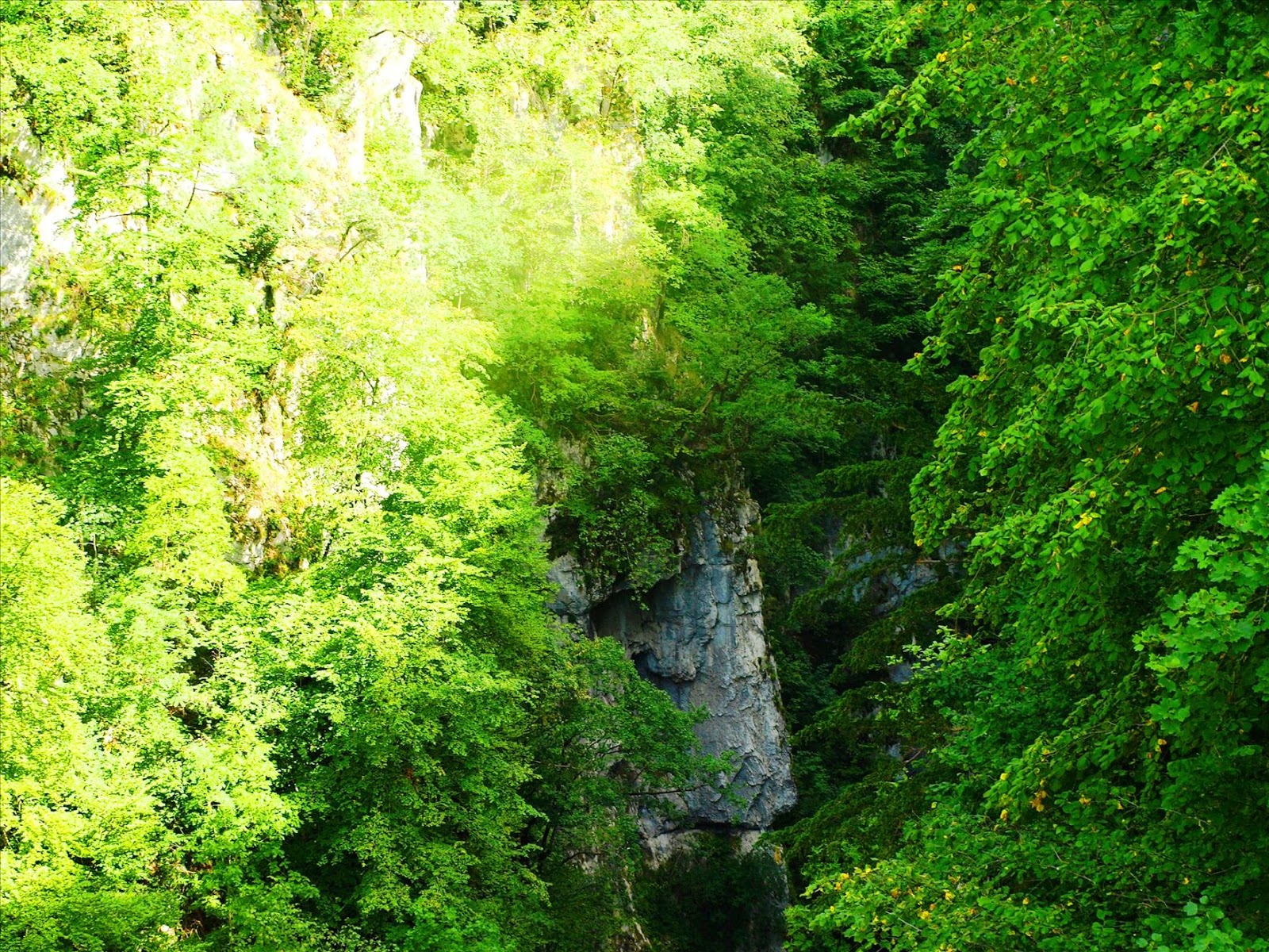 Best Pyrenees Photos: Nature Sounds - Larrau - Pyrenees - France