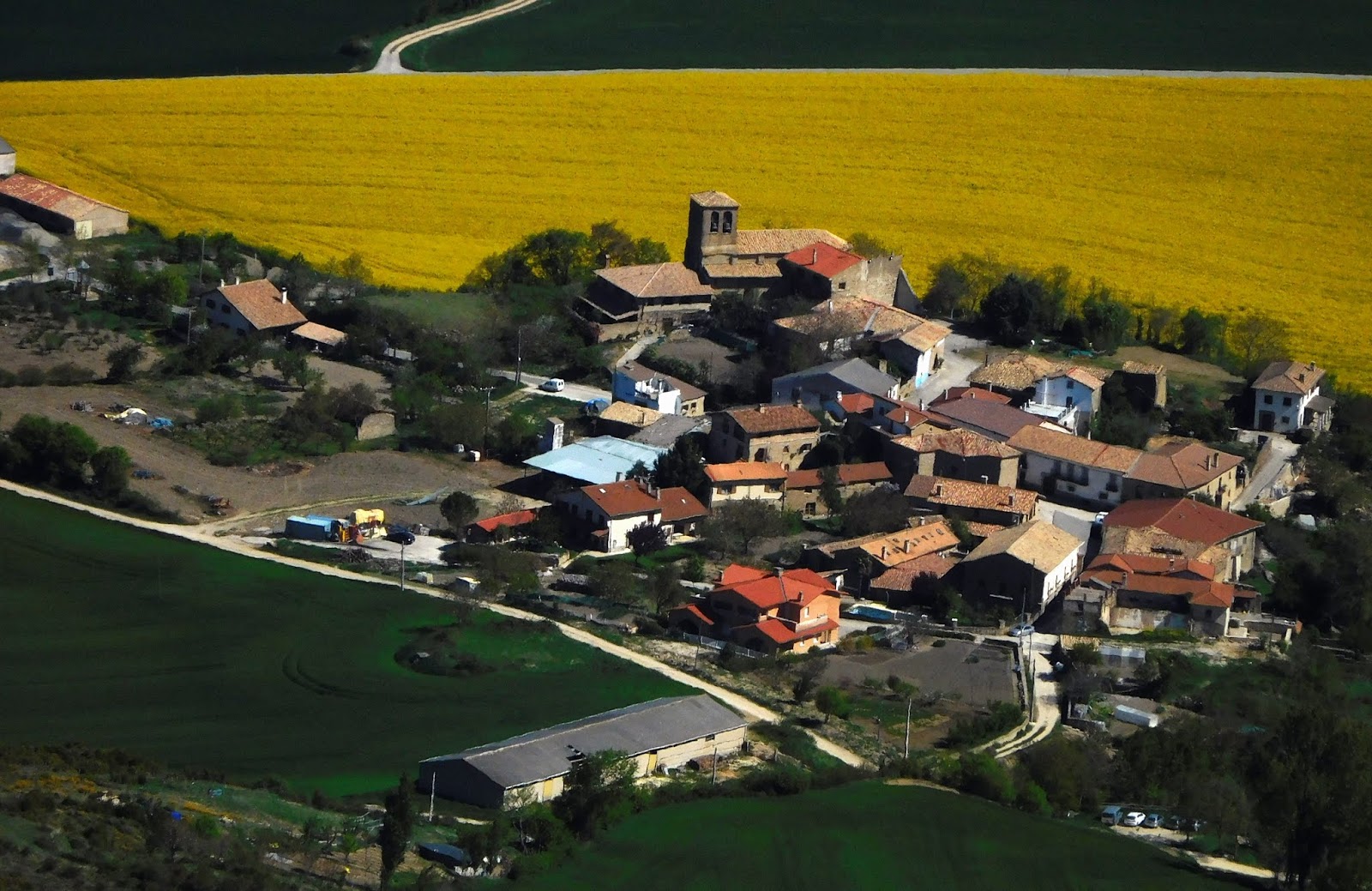 IZAGA desde ARDANAZ 19