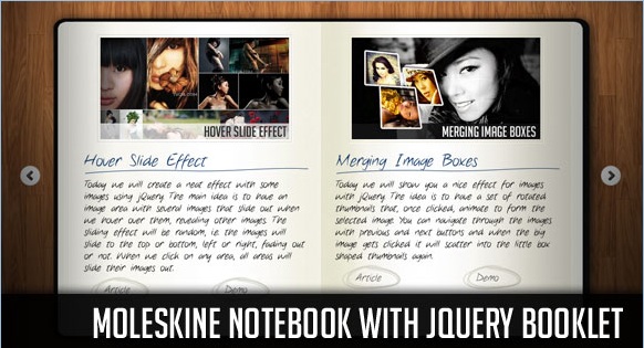 8 Jquery Page Flip Book Effect Plugin Examples Aspnetcnetvbnetjqueryjavascriptgridview