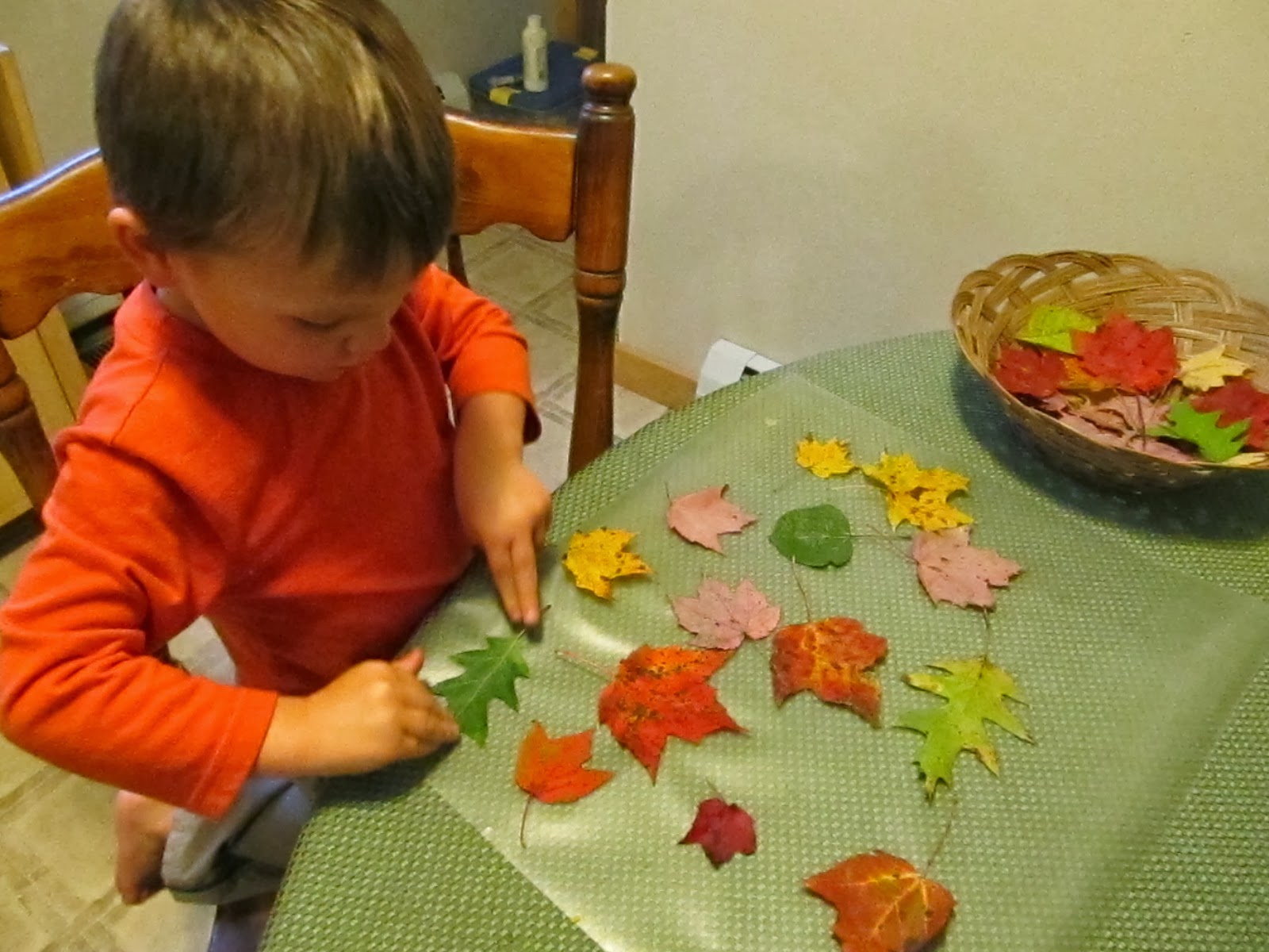 Kitchen Floor Crafts: Sticky Leaf Collage