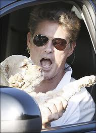 WTFshiznit: Hasselhoff Extravaganza!