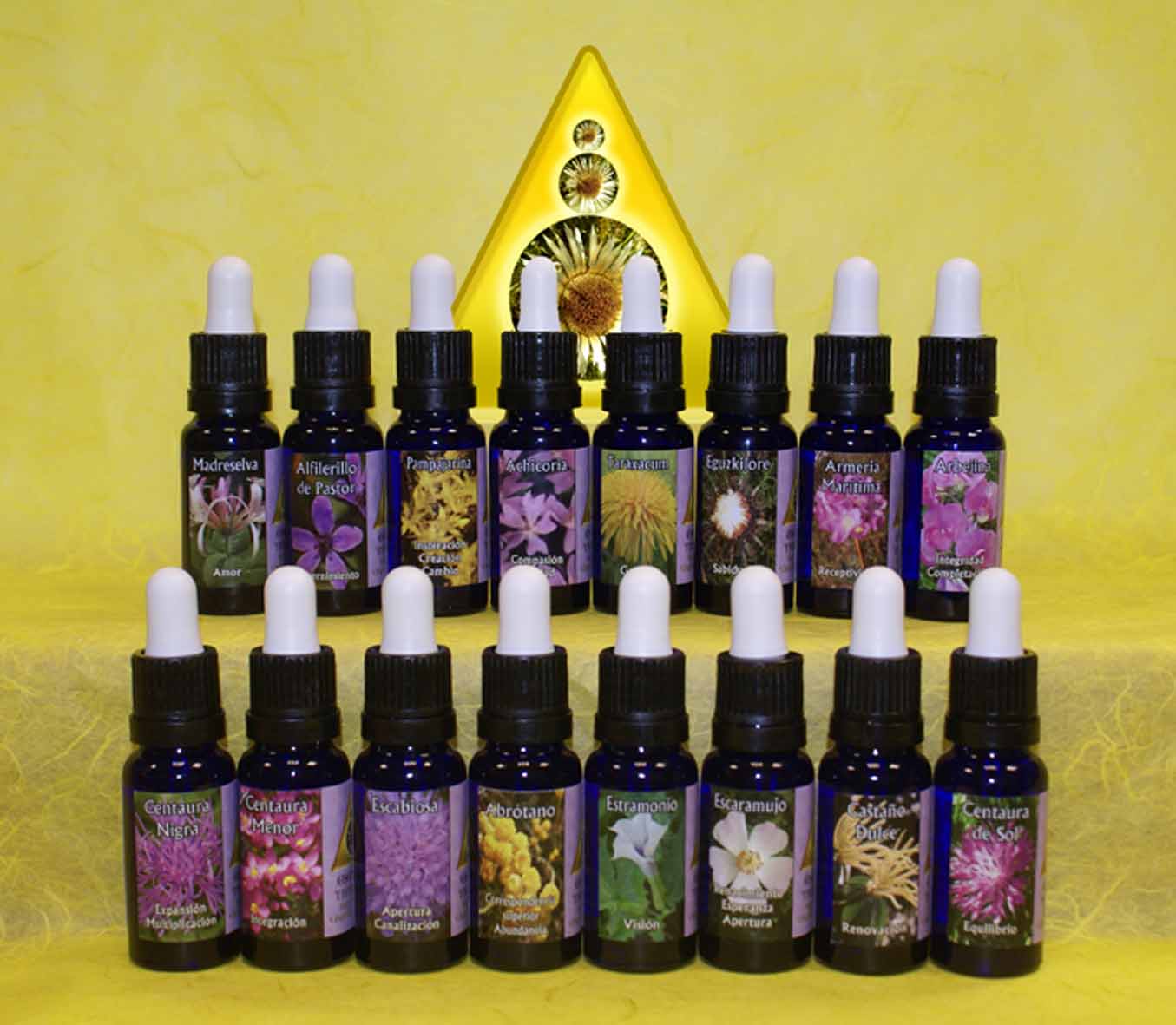 EN MI PROPIO CAMINO: Propiedades mágicas de las esencias