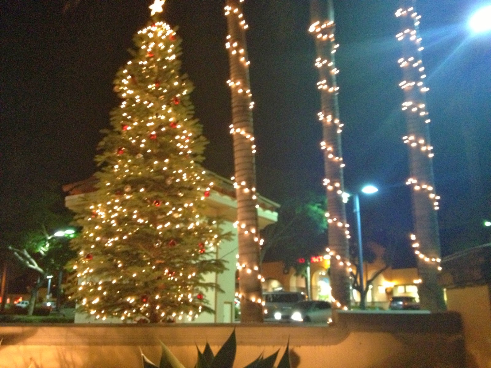 Milpas Christmas Tree Lighting - Santa Barbara, California: 4th Milpas ...