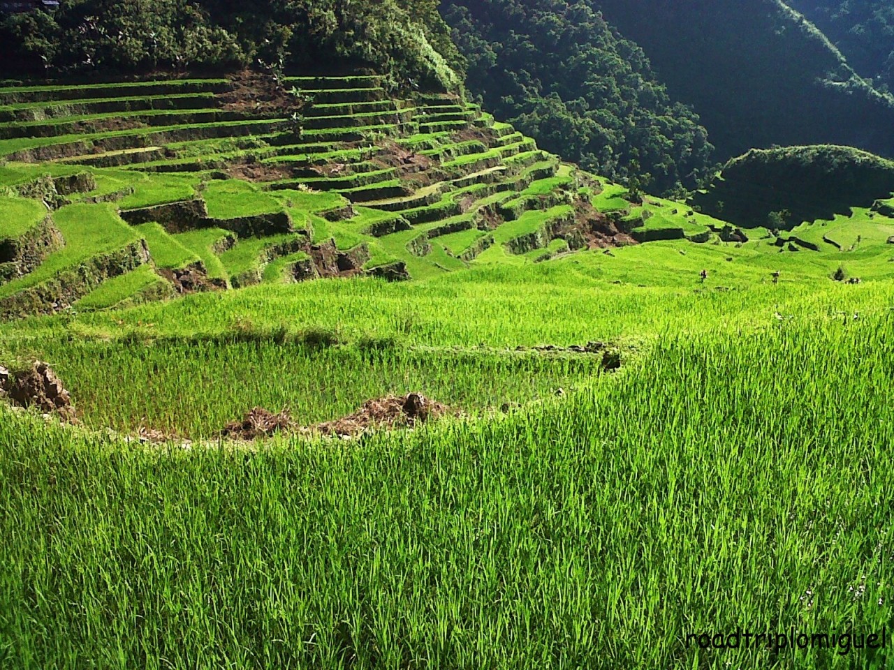 kapatagan sa pilipinas - philippin news collections