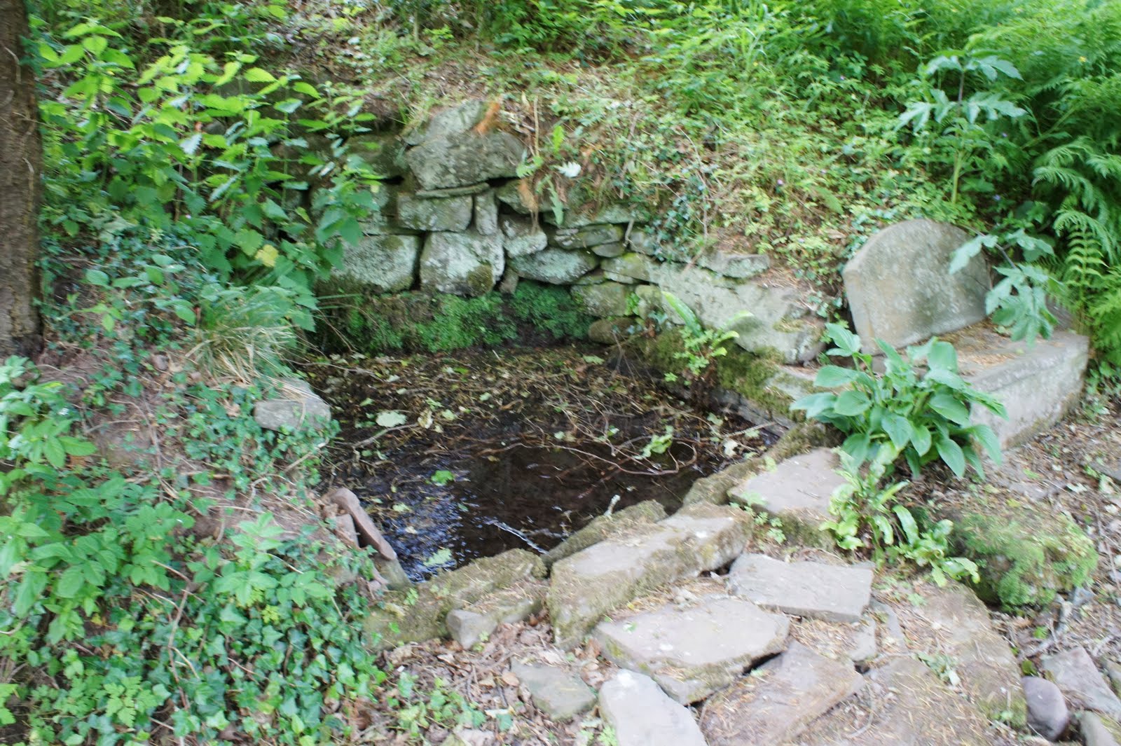 Mary in Monmouth: Some Enchanting Welsh Holy Wells around Brecon ...
