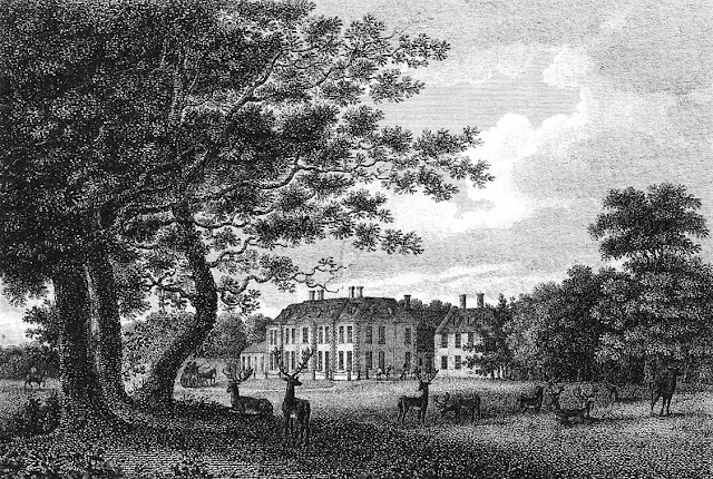 Landed families of Britain and Ireland: (361) Banks of Beck House and ...