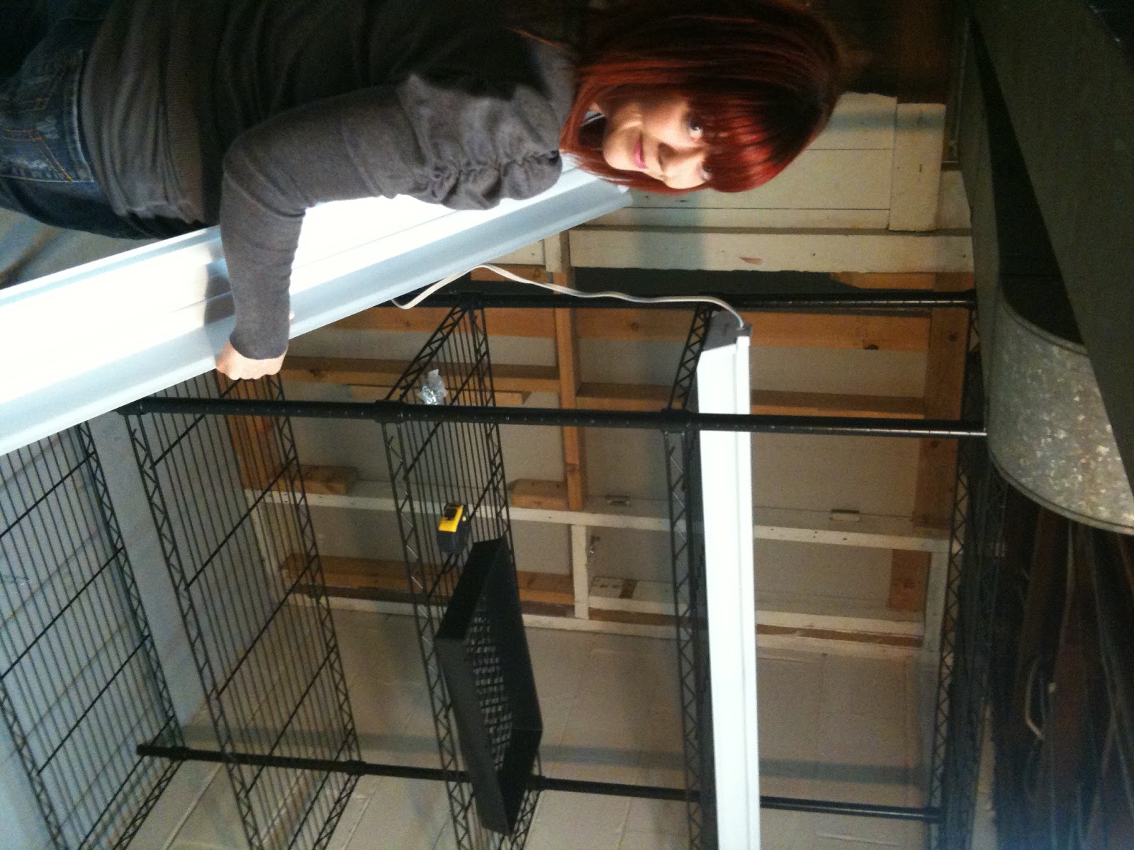 break into blossom: jump starting spring: seed starting station