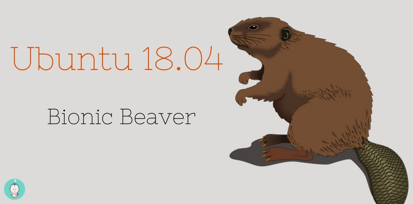I love ubuntu!: UBUNTU 18.04 BIONIC BEAVER WALLPAPERS!!!!