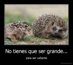 17primaveras: ¿Qué es realmente ser valiente?