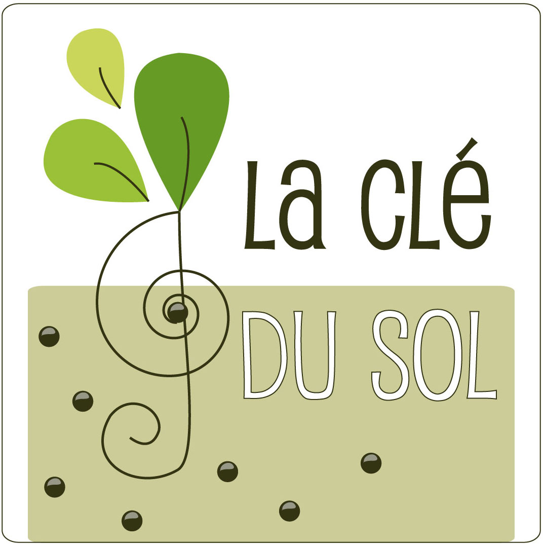 Bulles-de-clim: novembre 2012