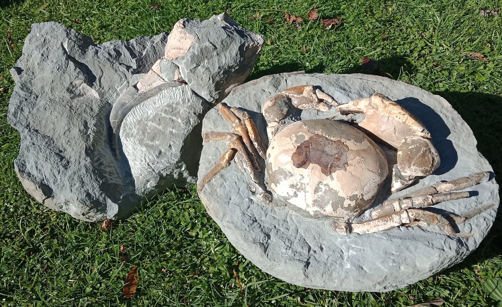 Aotearoarocks - Geology - Archaeology - History - Ecology: Guest post ...