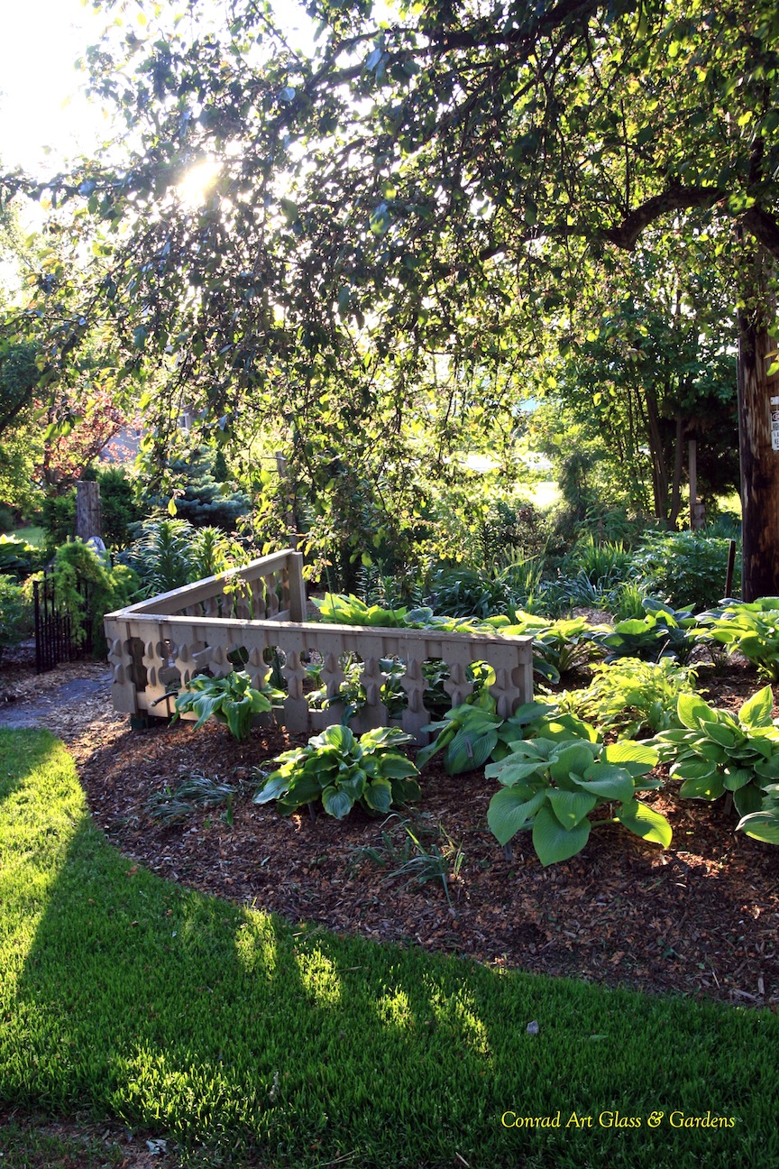 Conrad Art Glass & Gardens: Hostas at Oak Lawn