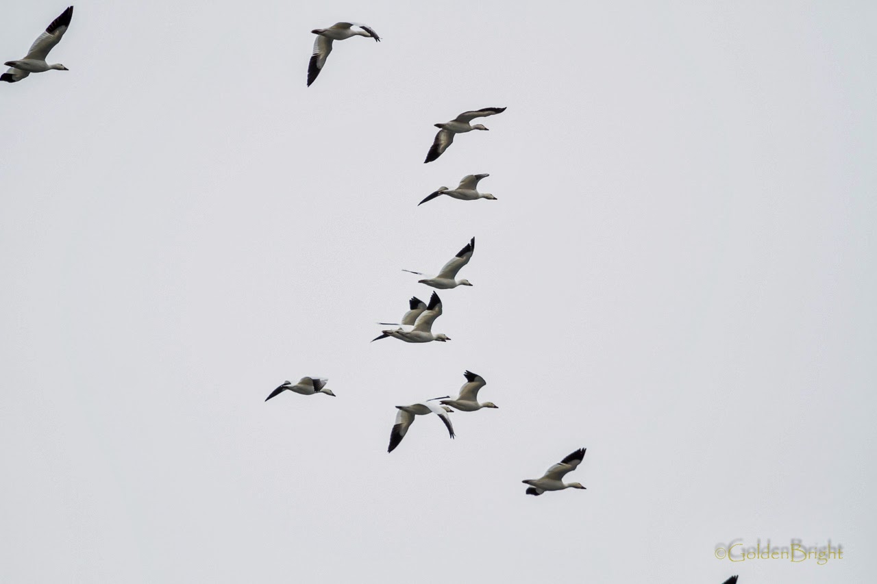 See What I See: March 2014