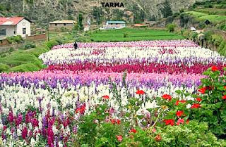 SHORT TRAVEL CLOSE TO LIMA