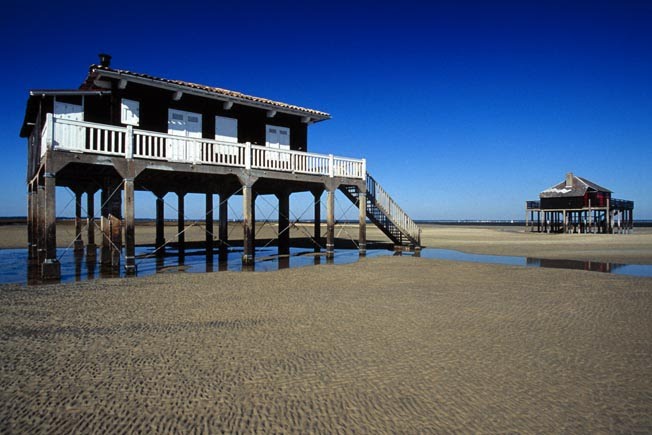 L'Atelier des Amis: Le Bassin est ouvert