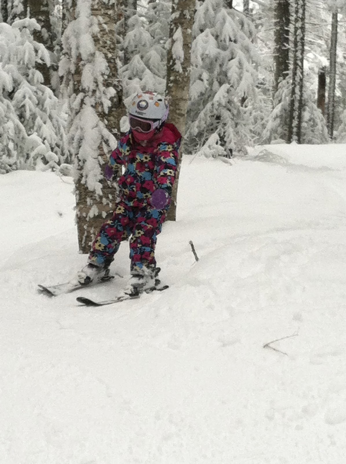 Outdoor Mom: Stickney Cabin Secret Stash