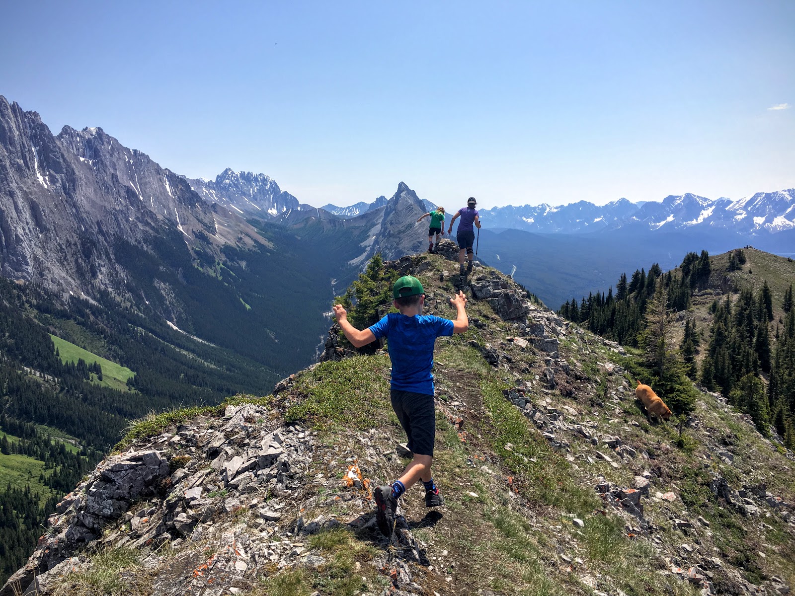 Family Adventures in the Canadian Rockies: King Creek Ridge - Family ...